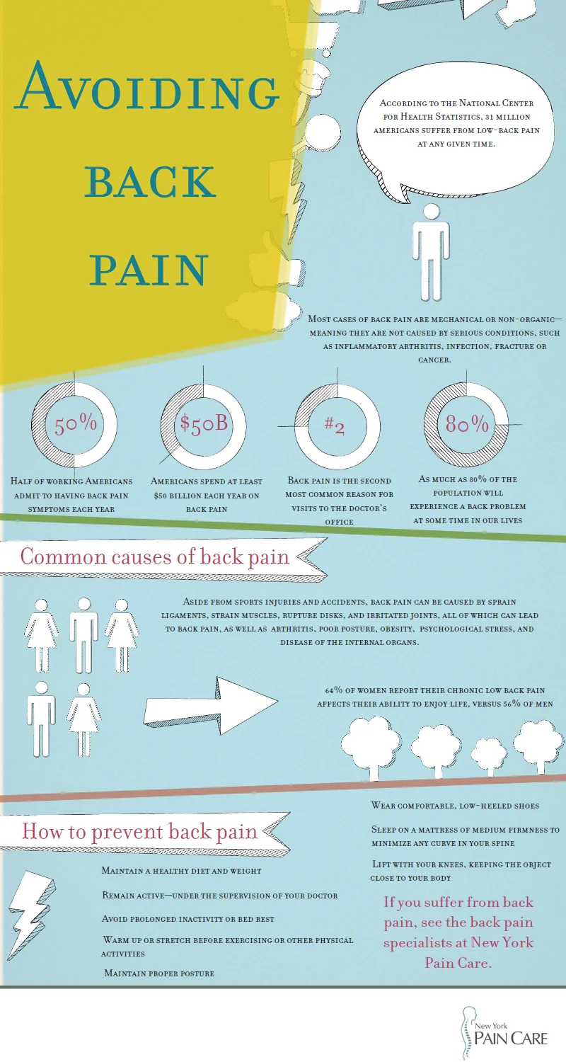 Low Back Pain Chart Flowchart Shows Clinical Practice Guideline For